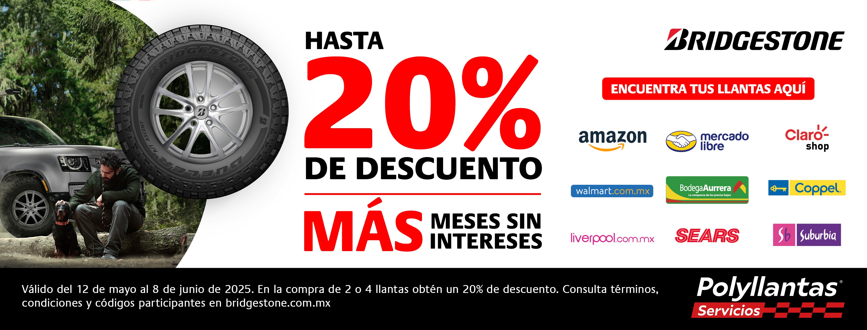 Polyllantas y Servicios S.A. de C.V.